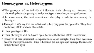 GENES AND ALLELES biology document presentation.pptx