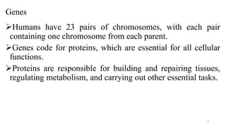 GENES AND ALLELES biology document presentation.pptx