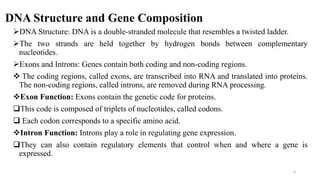 GENES AND ALLELES biology document presentation.pptx