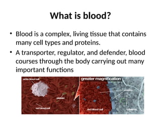 Genes and Blood Type how our blood type controlled by genes.pptx