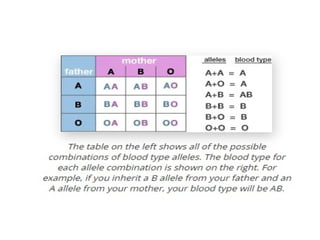 Genes and Blood Type how our blood type controlled by genes.pptx