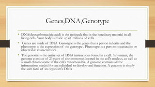 Genes and chromosomes.pptx
