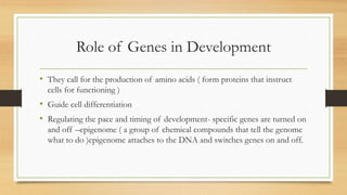 Genes and chromosomes.pptx