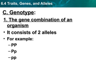 GENES AND CHROMOSOMES PART2 hvvjghnh.ppt