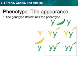 GENES AND CHROMOSOMES PART2 hvvjghnh.ppt