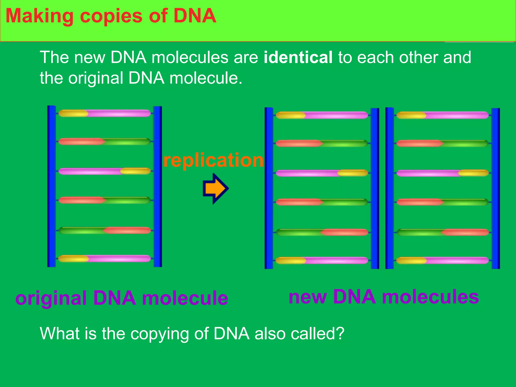 Genes and DNA | PPT