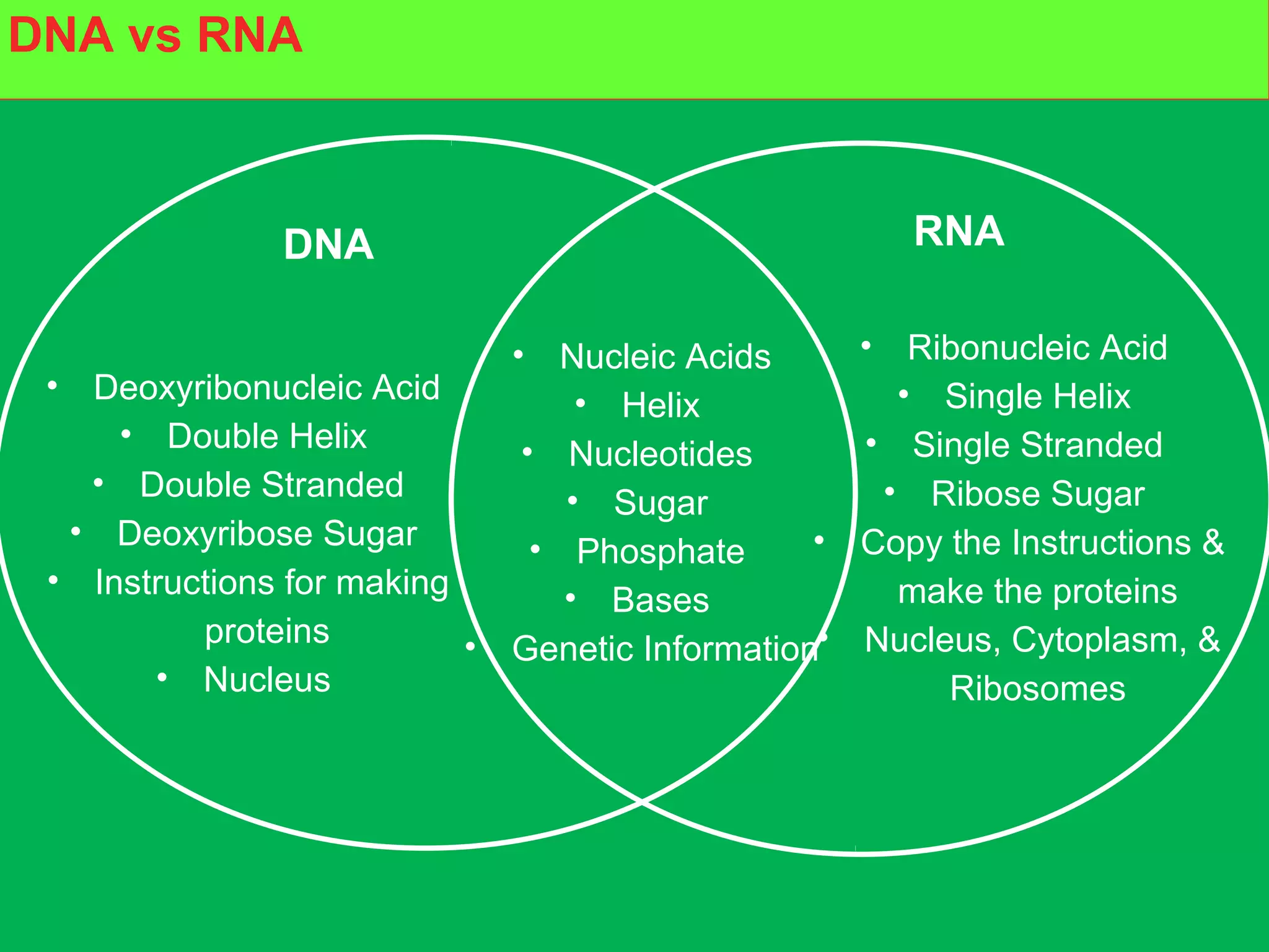 Genes and DNA | PPT