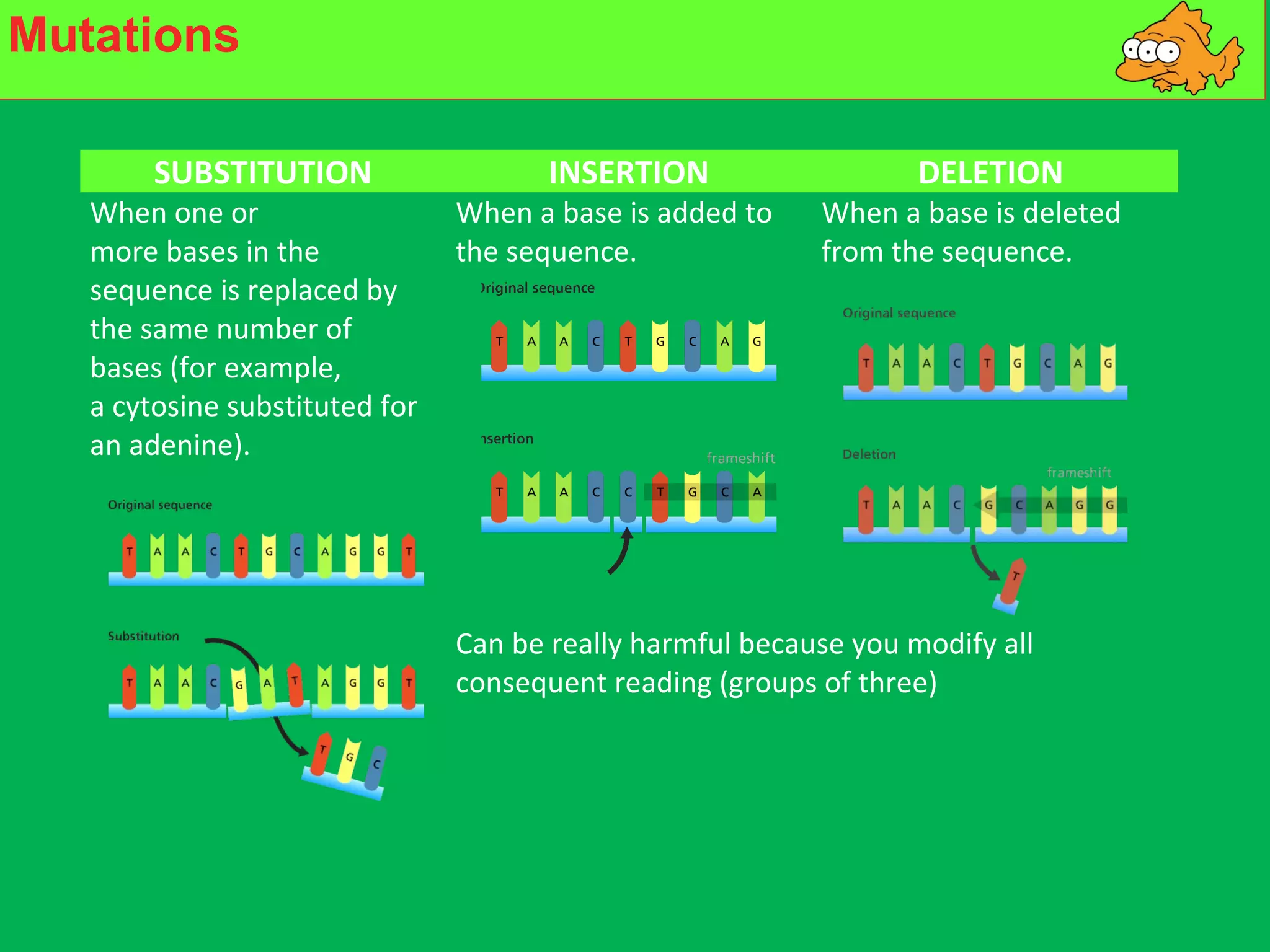 Genes and DNA | PPT