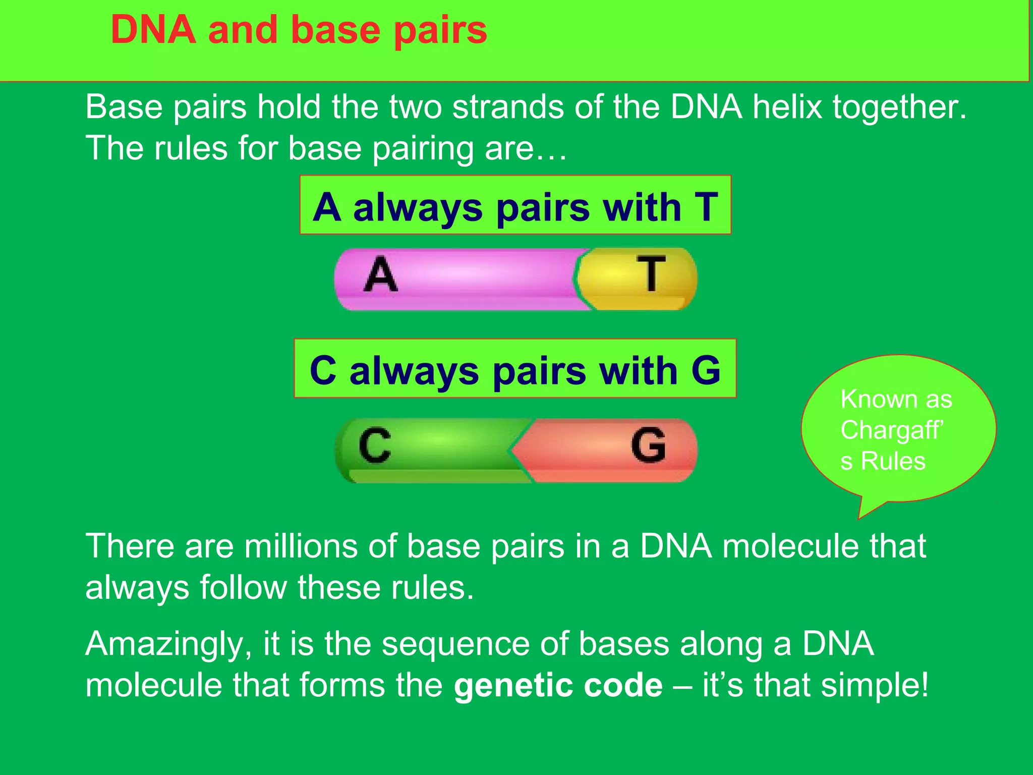 Genes and DNA | PPT