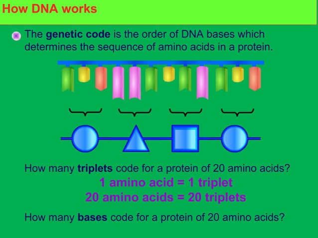 Genes and DNA | PPT