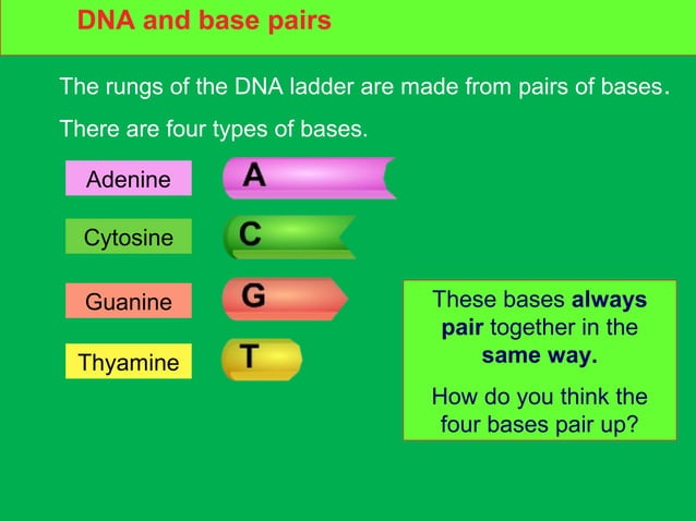 Genes and DNA | PPT