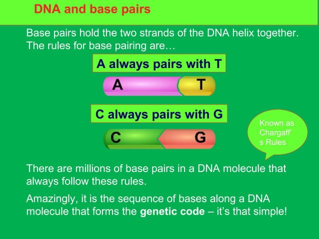 Genes and DNA | PPT