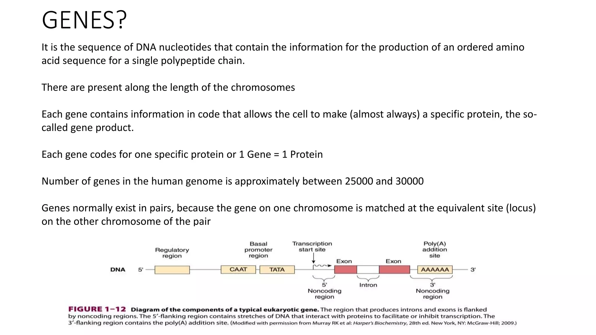 Genes and DNA | PPT