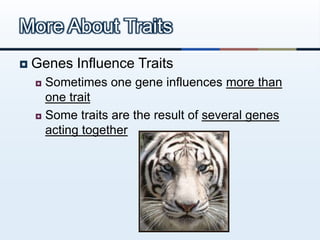 Genes And Gene Technology | PPTX