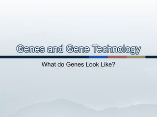 Genes And Gene Technology | PPT