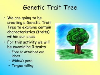 Genes and Heredity.ppt