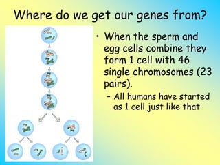 Genes and Heredity.ppt