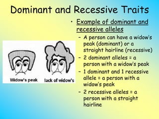 Genes and Heredity.ppt
