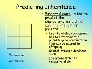 Genes and Heredity.ppt