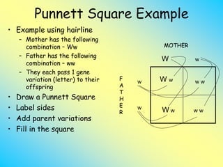 Genes and Heredity.ppt
