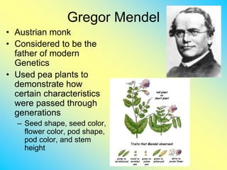 Genes and Heredity.ppt