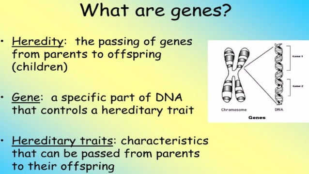 Genes and heredity - science - biology - | PPT