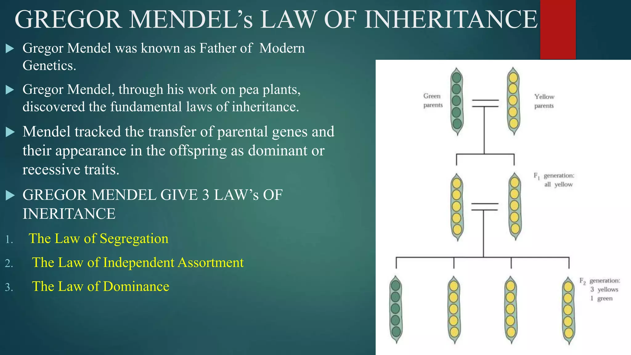 Genes and heredity for class 9th | PPTX