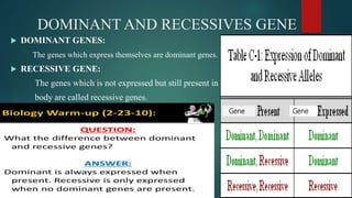 Genes and heredity for class 9th | PPTX