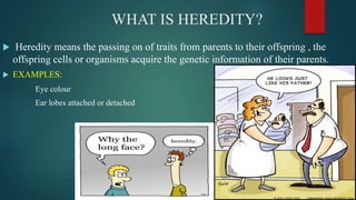 Genes and heredity for class 9th | PPTX