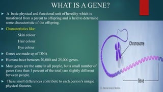 Genes and heredity for class 9th | PPTX