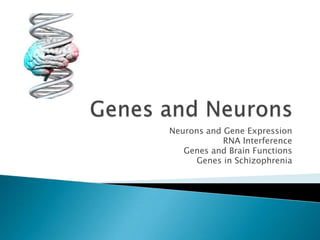 Genes and neurons | PPTX