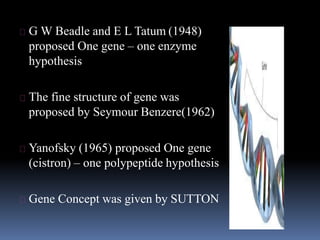 Genes and terminology.pptx