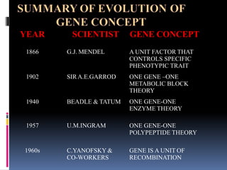 Genes and terminology.pptx