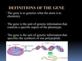 Genes and terminology.pptx