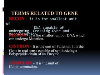 Genes and terminology.pptx