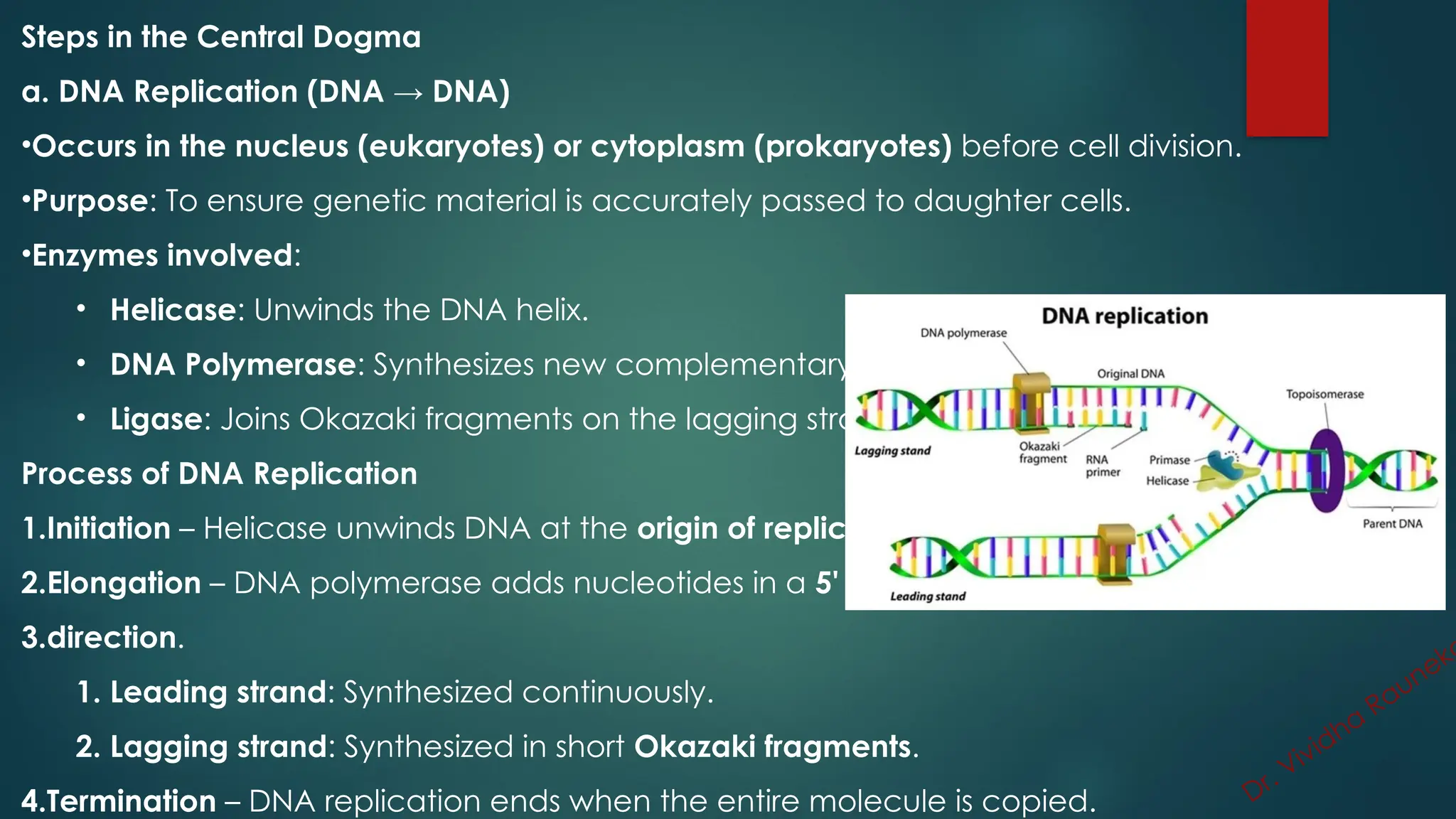 Genes and the genetic code_Central dogma | PPTX