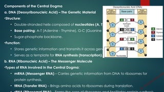 Genes and the genetic code_Central dogma | PPT