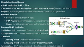 Genes and the genetic code_Central dogma | PPTX
