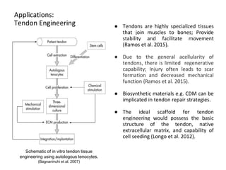 Genes and Tissue Culture Technology - Presentation | PPT