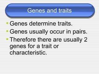 Genes and traits | PPT