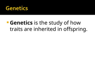 Genes and Traits.ppt genetic mutationion | PPT
