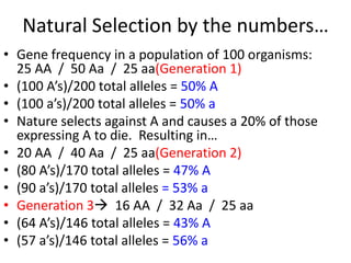 Genes And Variation | PPTX