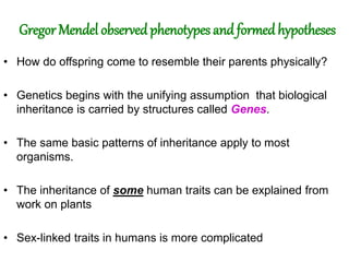 genes, chromosomes and dna (talk 3).ppt