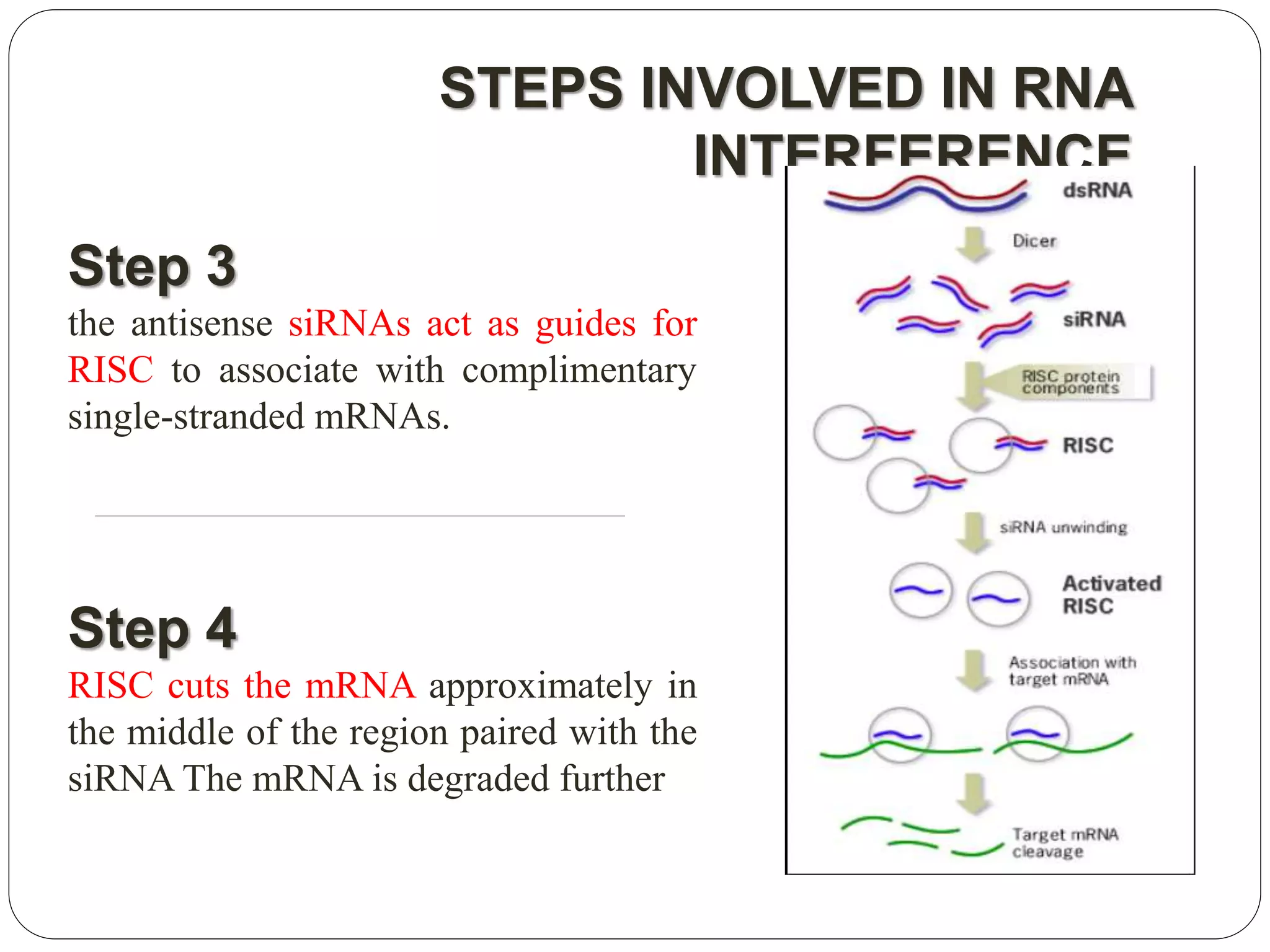 Gene silencing | PPTX