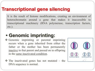 Gene silencing | PPTX