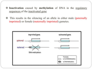 Gene silencing | PPTX
