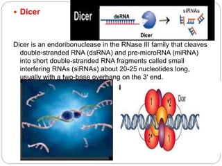 Gene silencing | PPTX