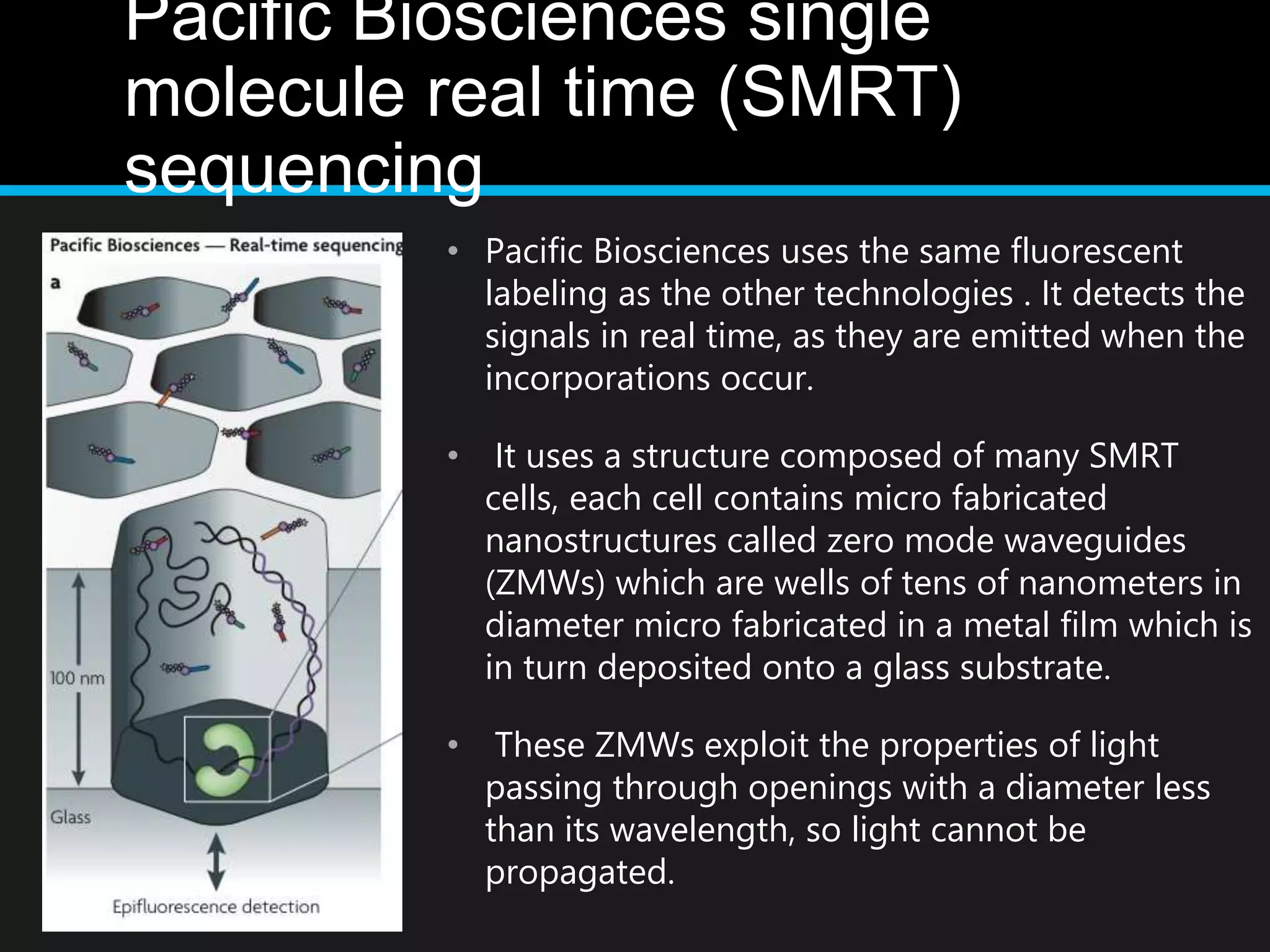Gene Sequencing | PPTX