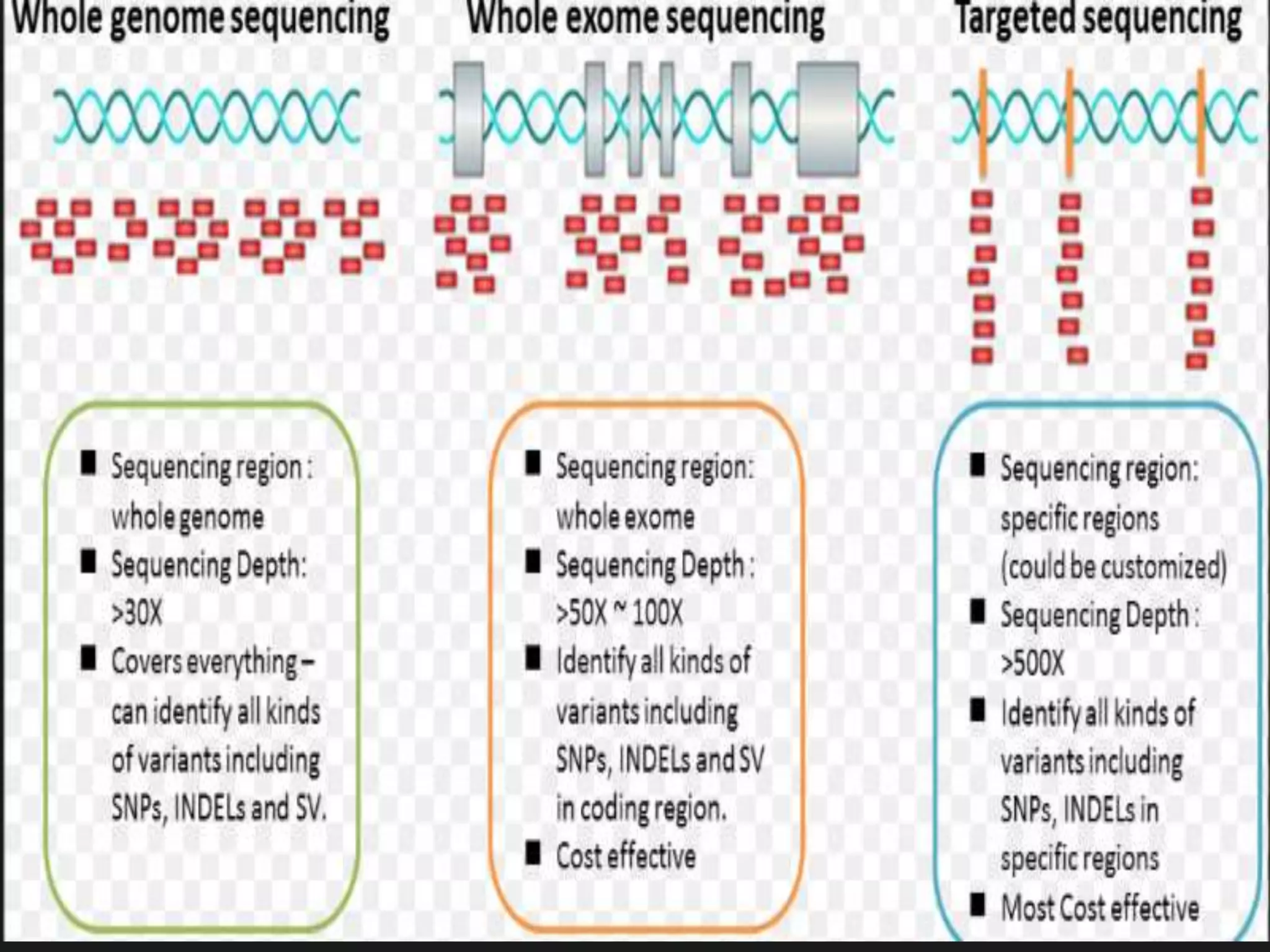 genesequencing-200105073623 (1).pdf