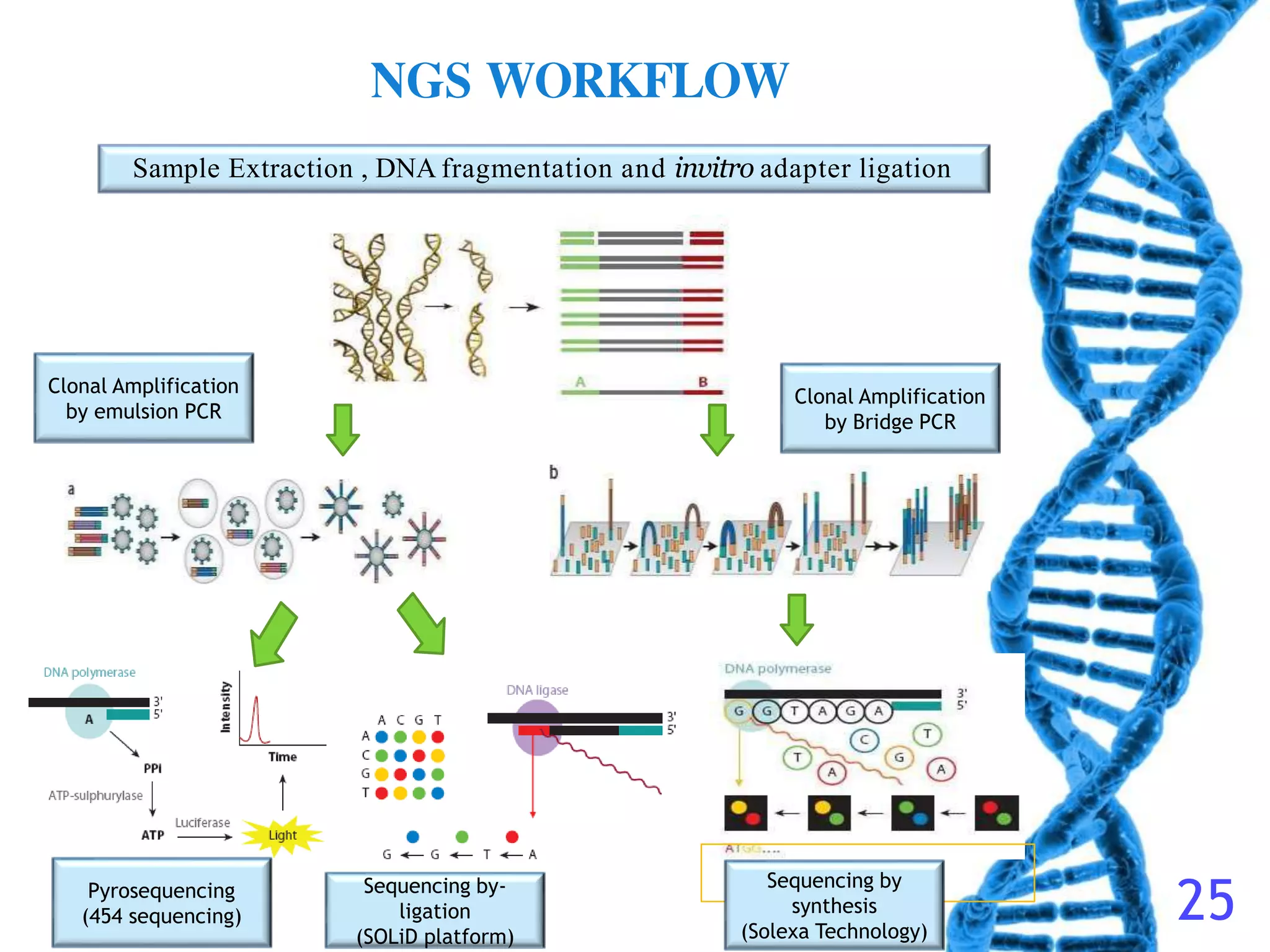 Gene sequencing technique | PPTX